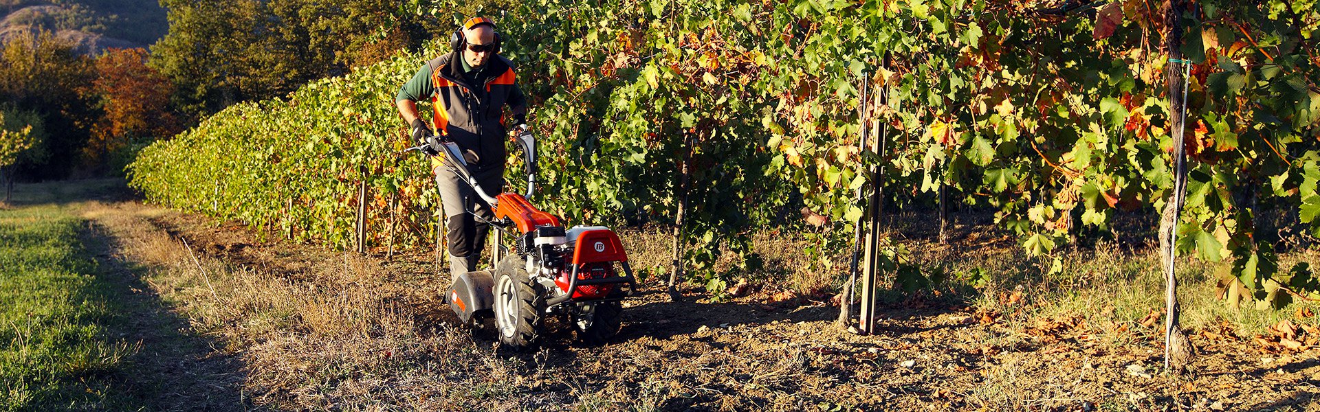 Nibbi: Products for the care of Green Areas - Nibbi